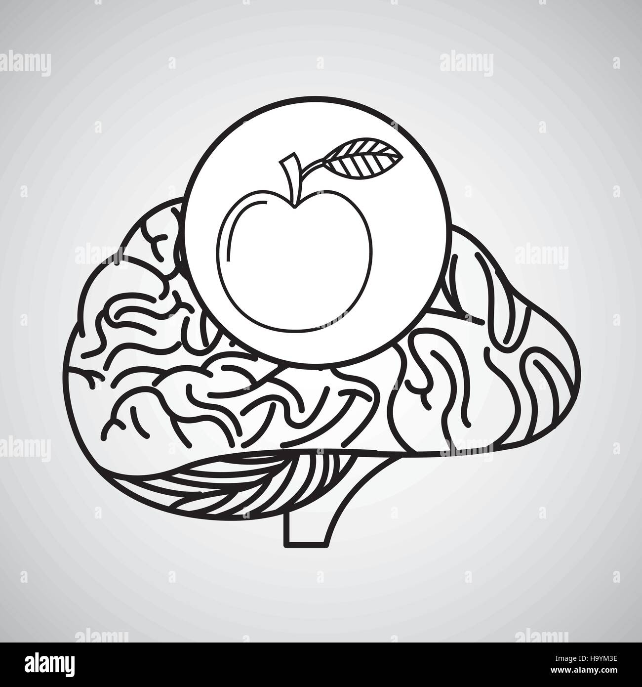 apple brain school knowledge vector illustration eps 10 Stock Vector ...