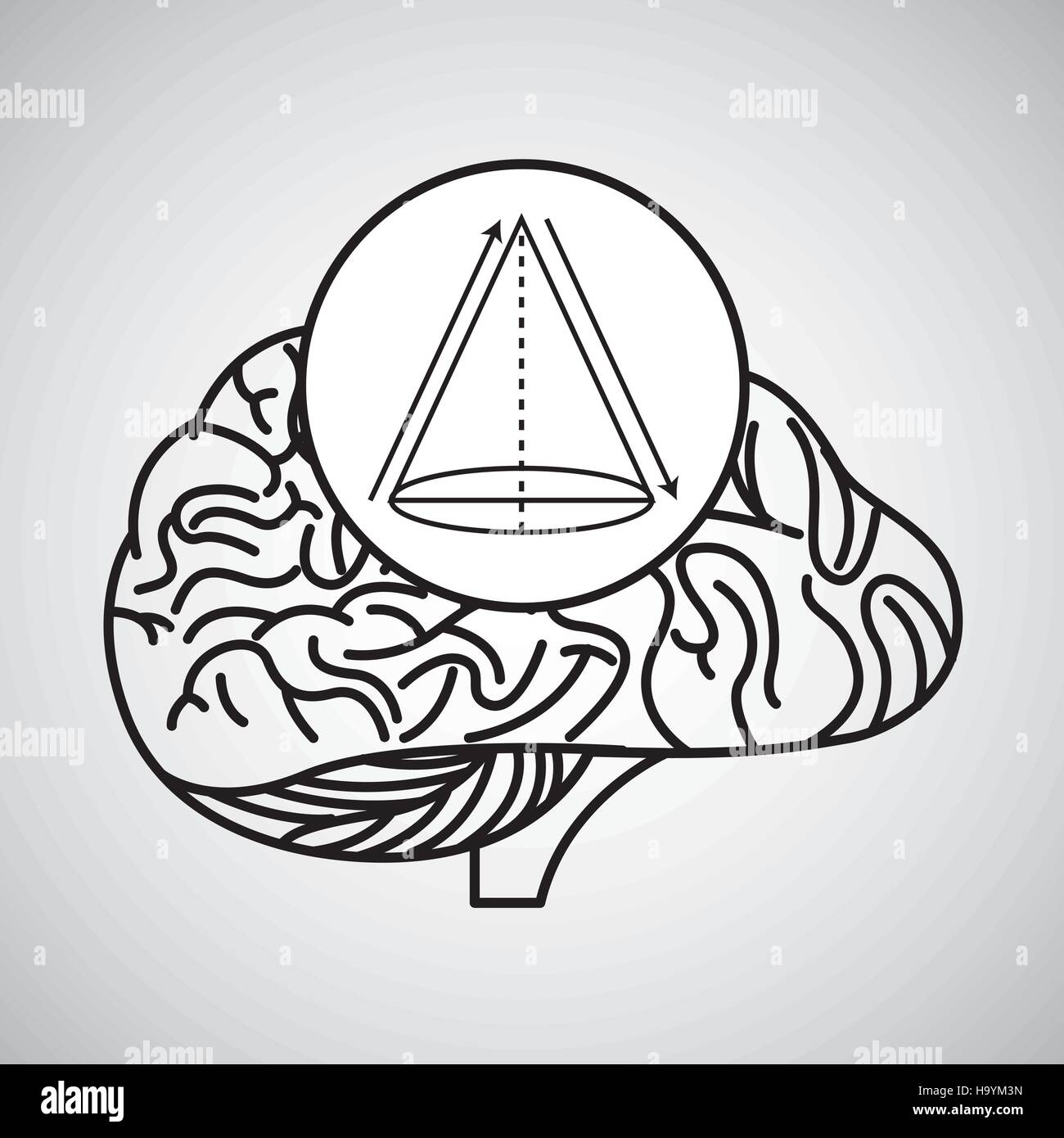 geometry brain school knowledge vector illustration eps 10 Stock Vector ...