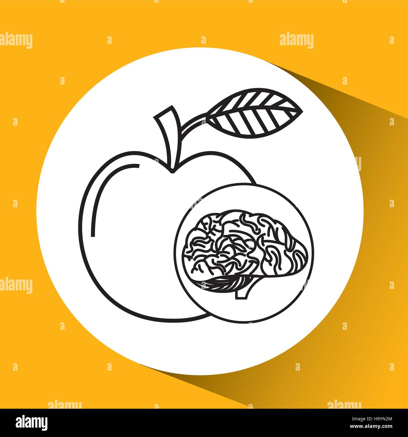 apple brain school knowledge vector illustration eps 10 Stock Vector ...