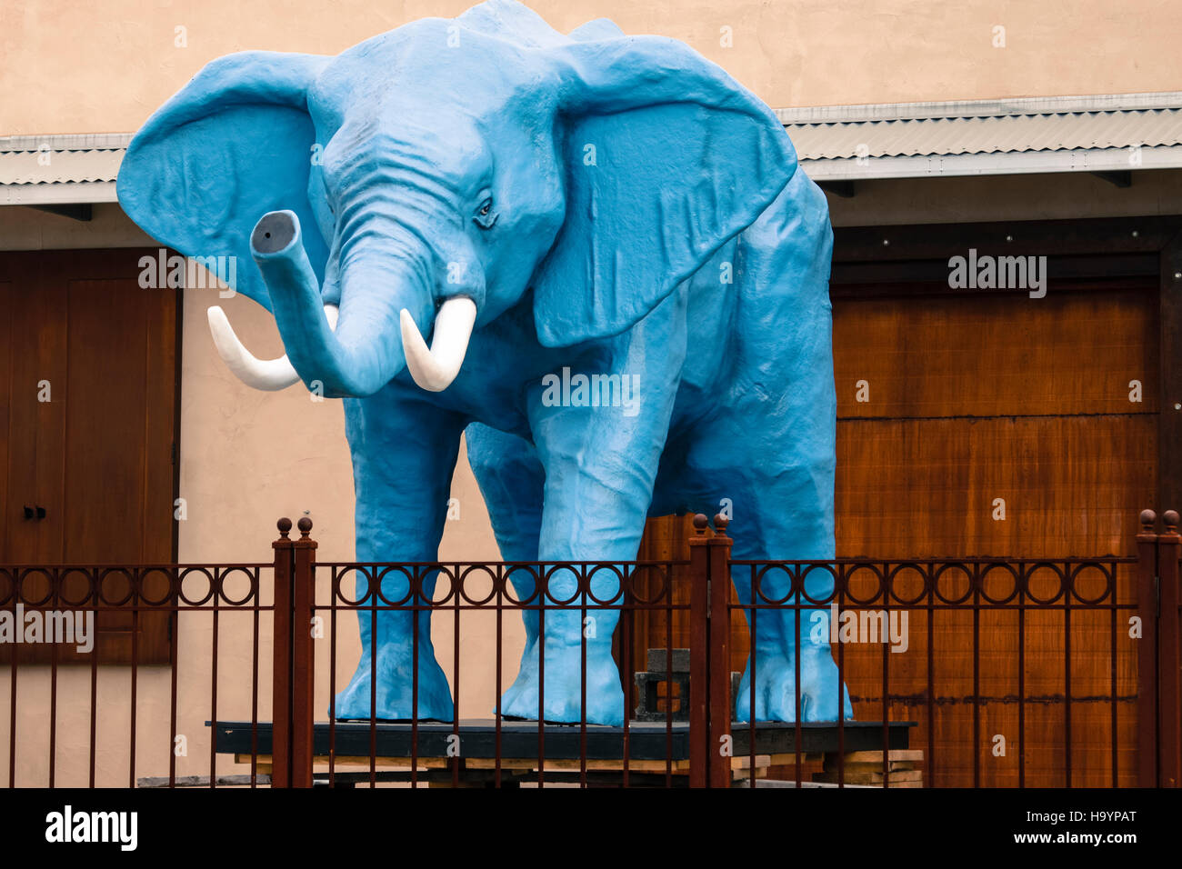 Blue Elephant Statue Stock Photo - Alamy