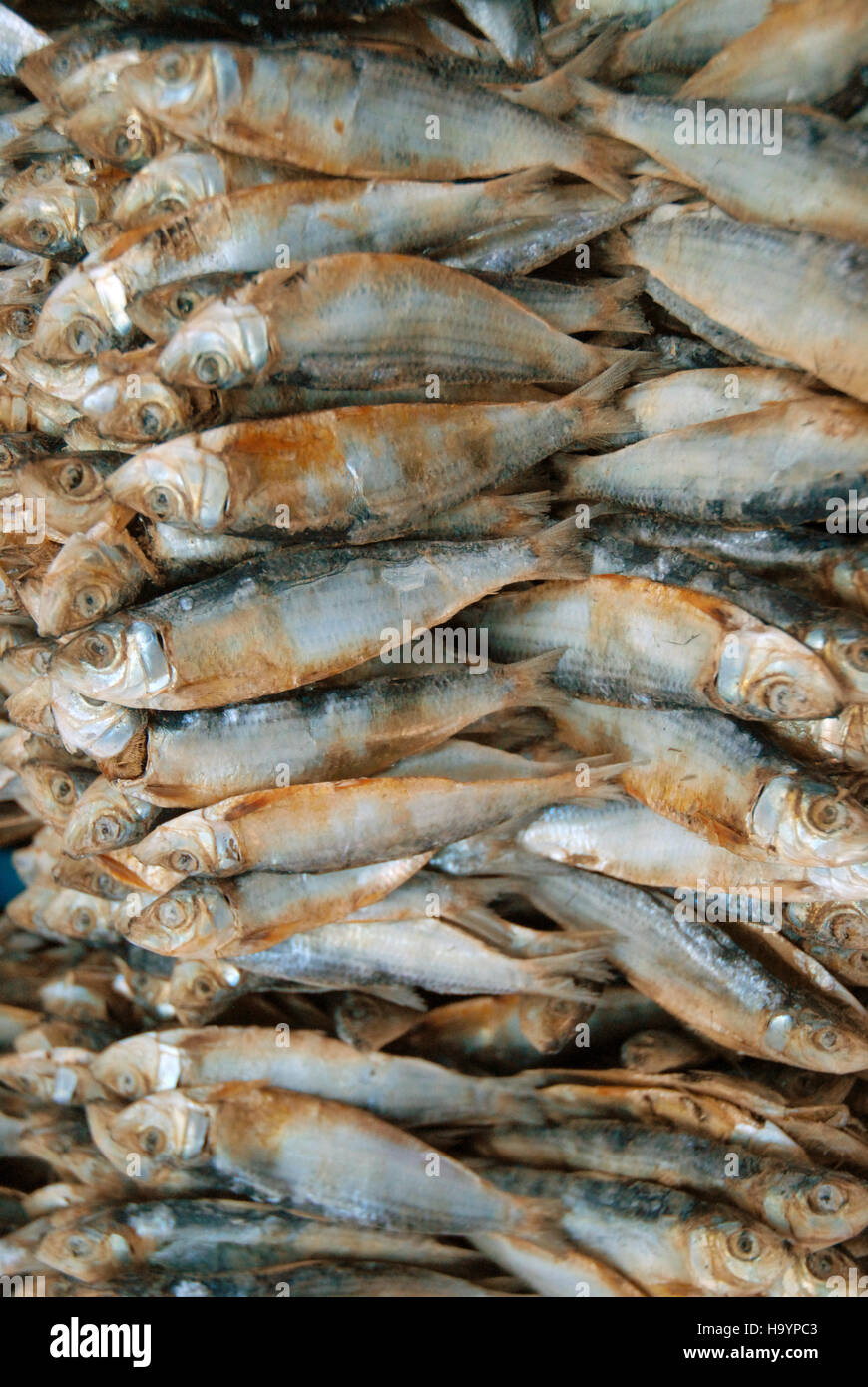 Fish Market, iloilo city, Philippines Stock Photo - Alamy
