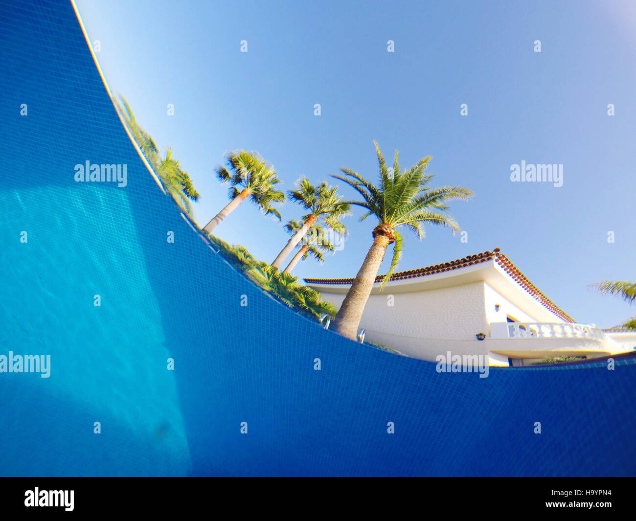 Beautiful swimming pool palm hi-res stock photography and images - Alamy