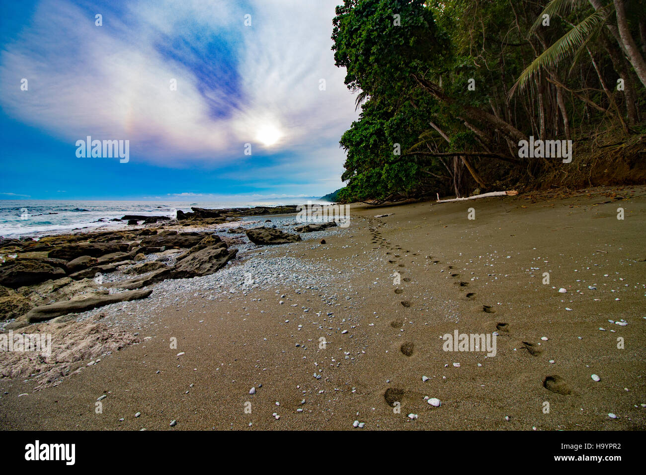Costa Rican Beach, Osa Peninsula Stock Photo - Alamy