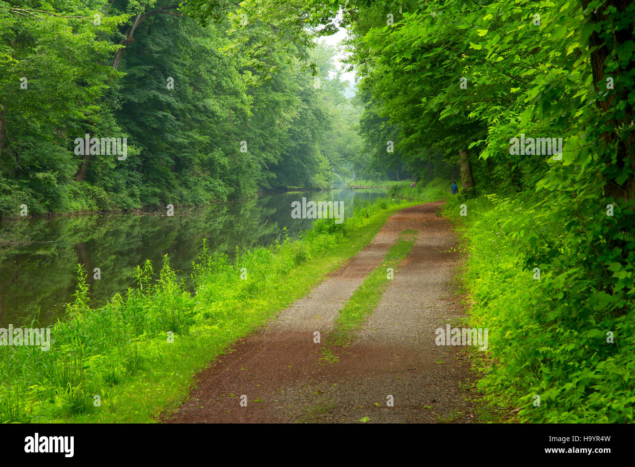 Delaware River Canal towpath, Delaware River Canal State Park ...