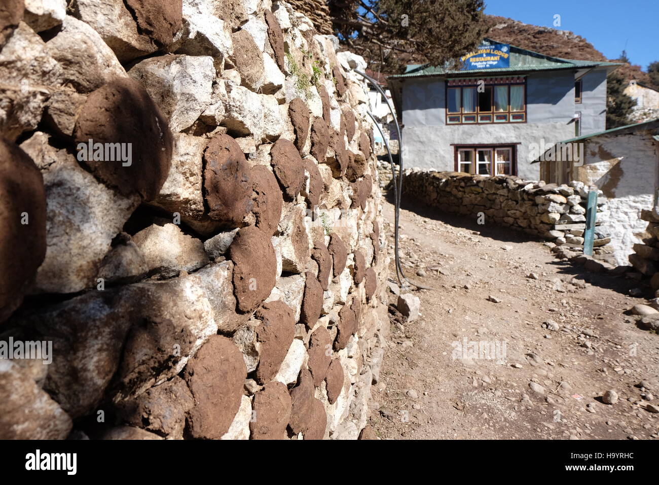 yak poop patties out to dry along the route to everest base camp, nepal ...