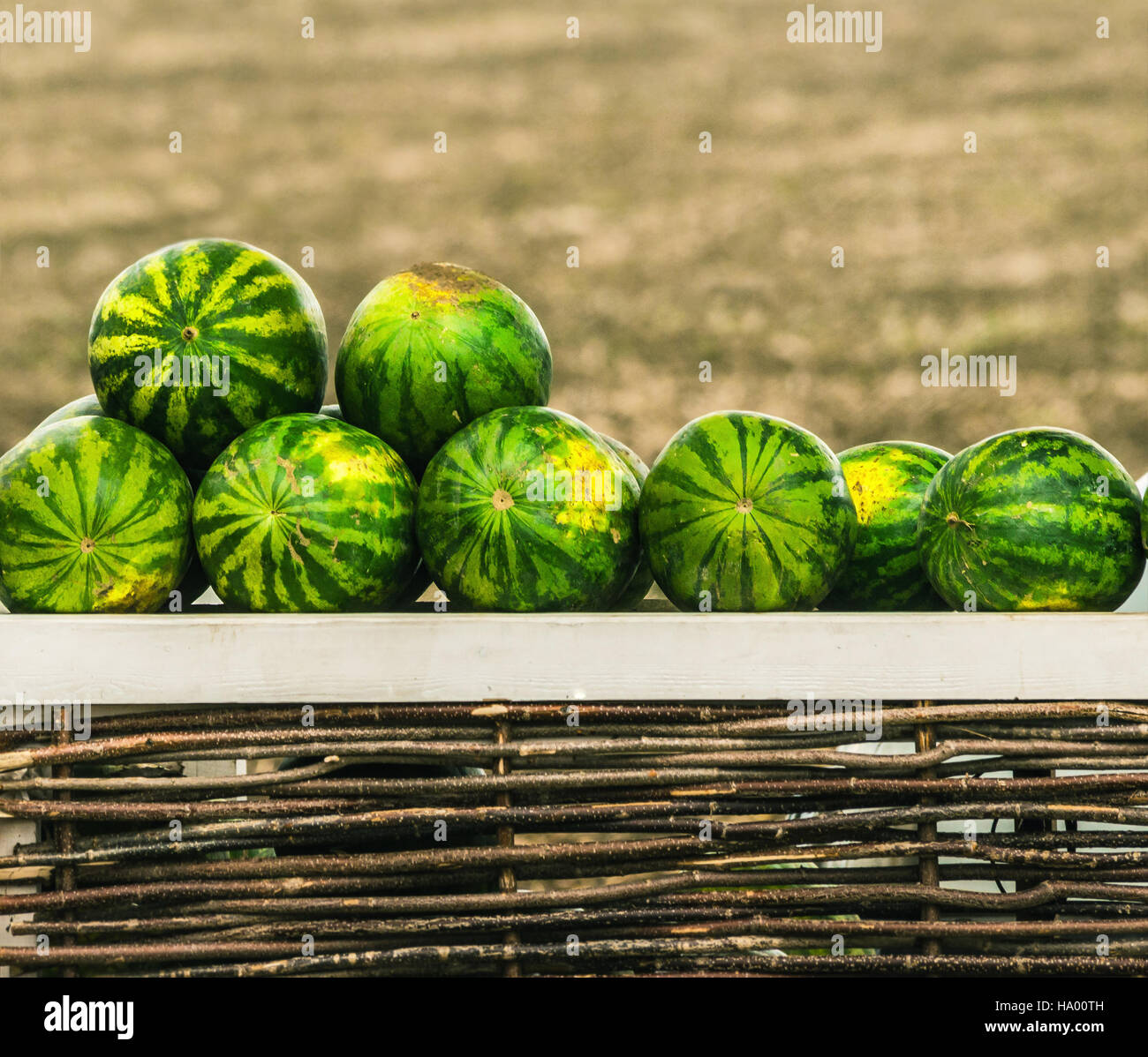Bulk watermelons hi-res stock photography and images - Alamy