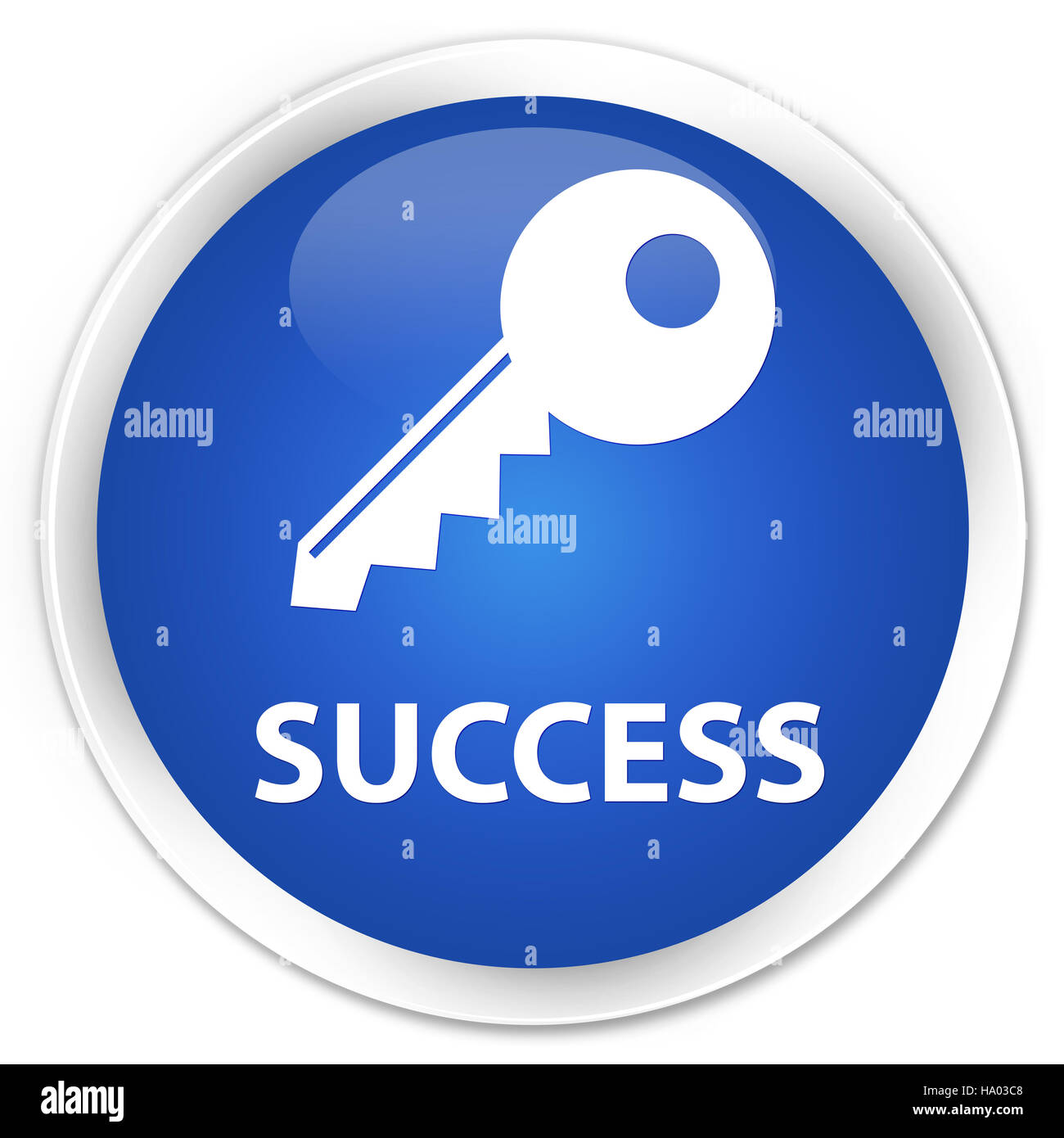 Success (key icon) isolated on premium blue round button abstract ...