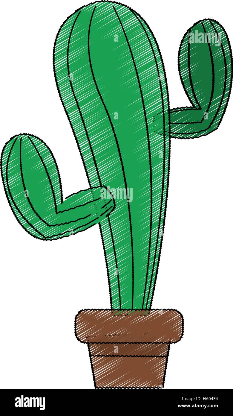 Isolated cactus design Stock Vector Image & Art - Alamy