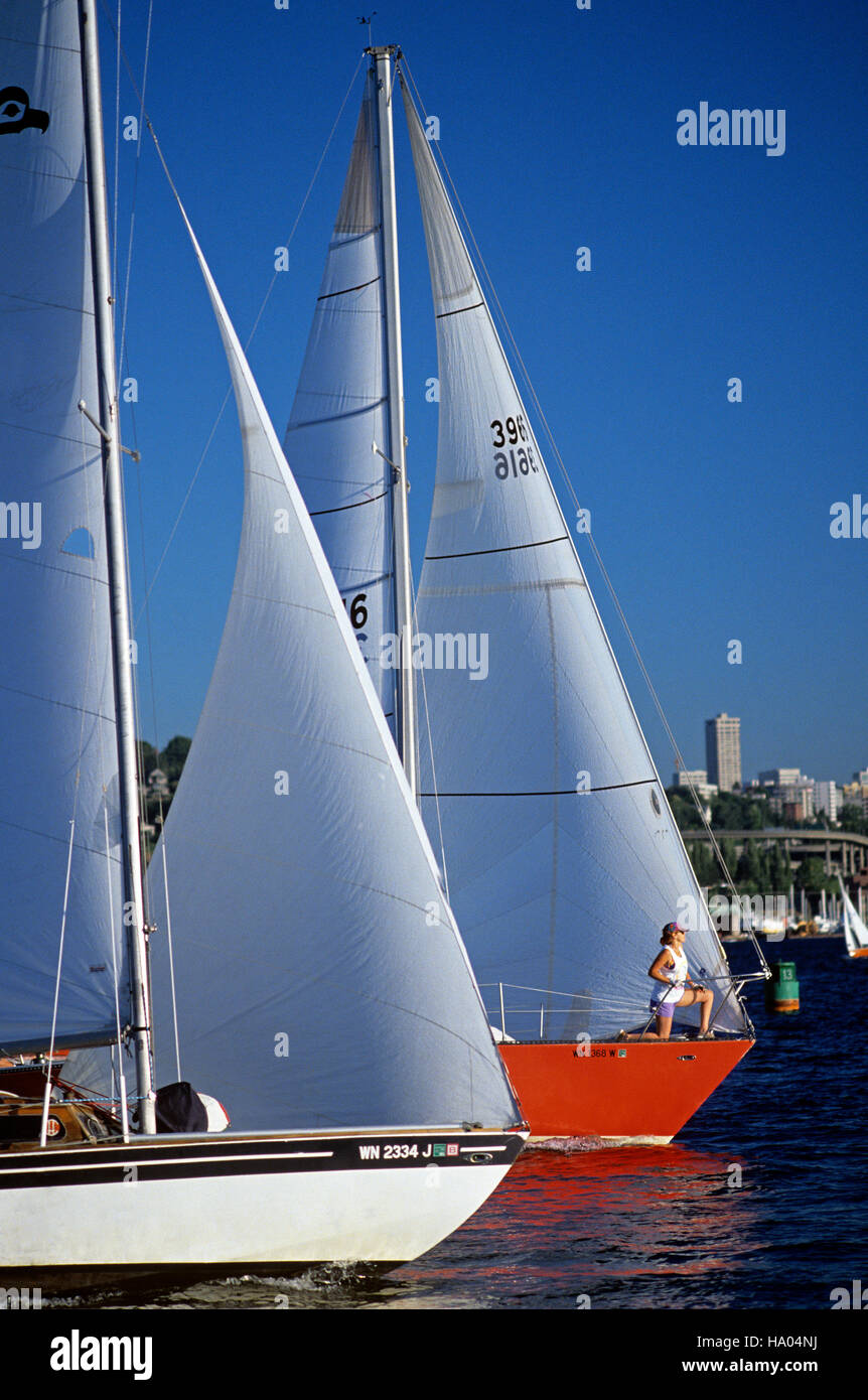 Sailboats on Lake Union racing to the finish line, Seattle, Washington ...