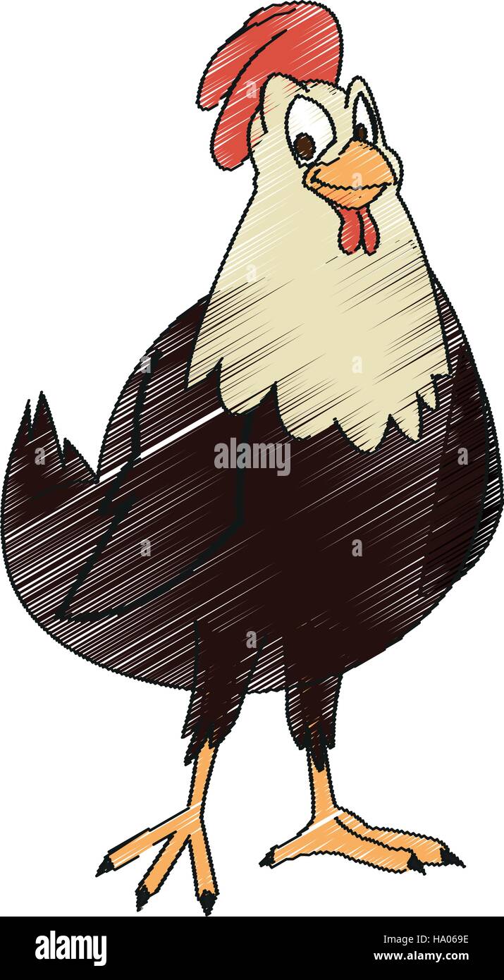 Isolated chicken cartoon design Stock Vector Image & Art - Alamy
