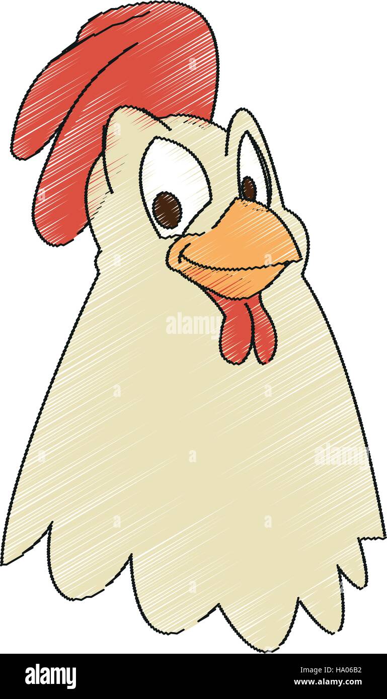 Isolated chicken cartoon design Stock Vector Image & Art - Alamy