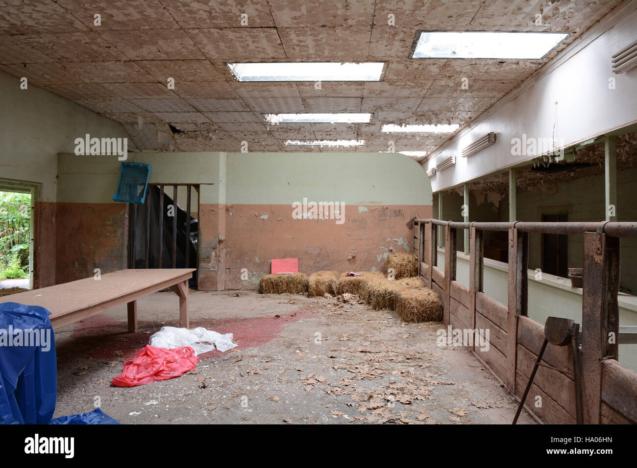 Abandoned Catskill Game Farm Rhino House Stock Photo - Alamy
