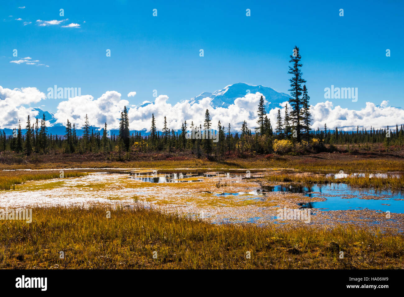 scenic pictures of Alaska Stock Photo - Alamy