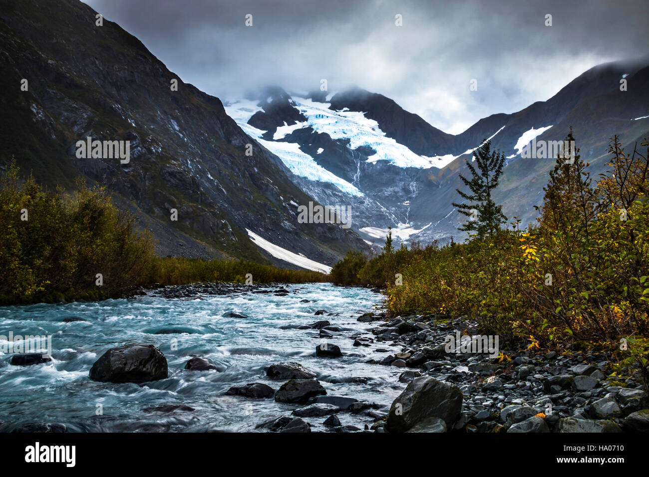 Wildlife and landscape in Alaska,USA Stock Photo - Alamy