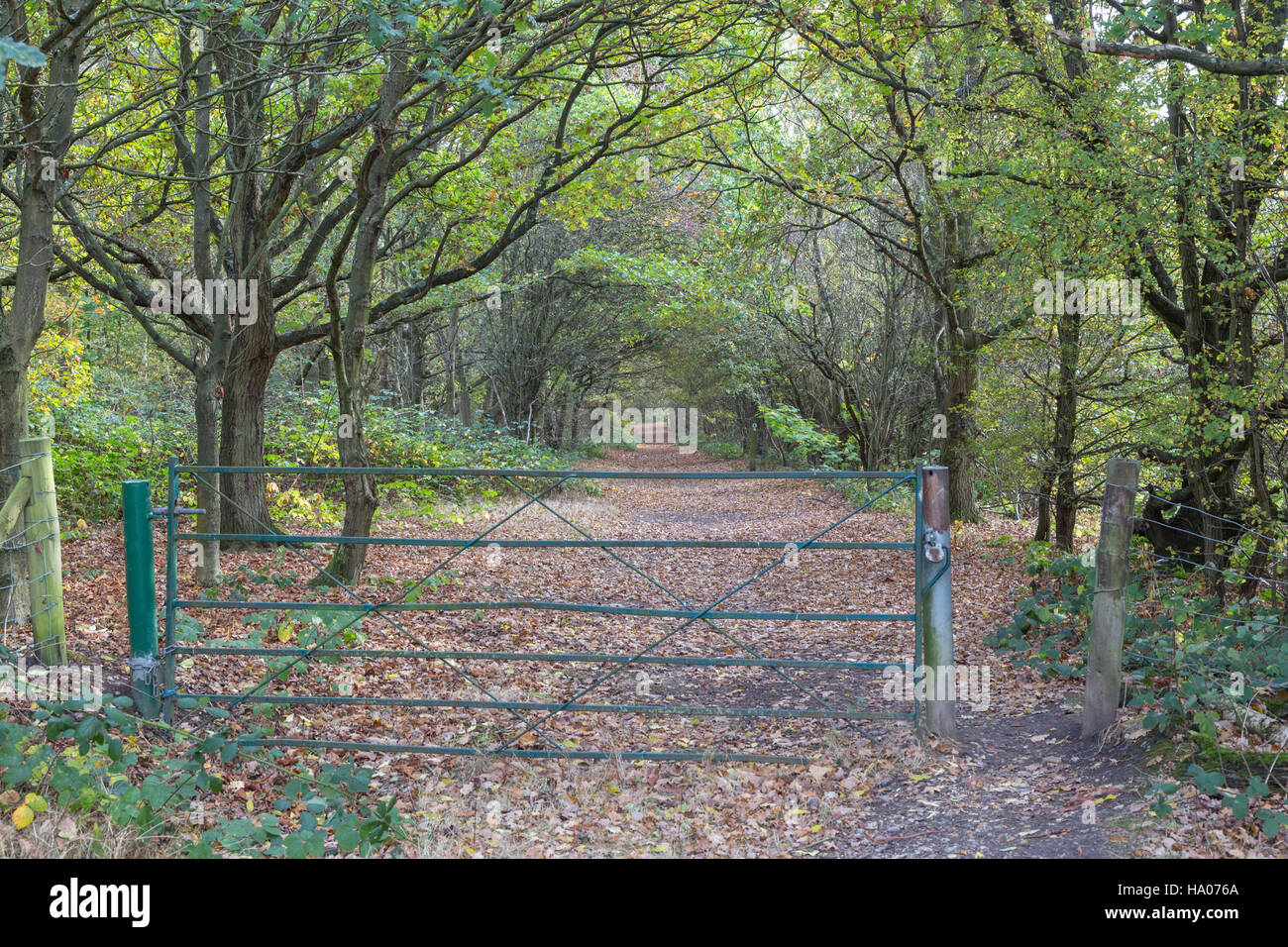Entrance forest closed gate hi-res stock photography and images - Alamy