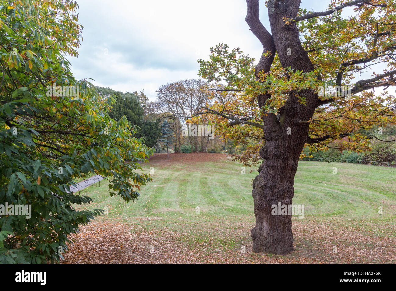 Cut lawn autumn hi-res stock photography and images - Alamy