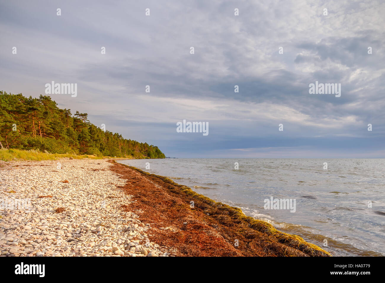 Shoreline by ocean with bad weather on the horizon Stock Photo - Alamy