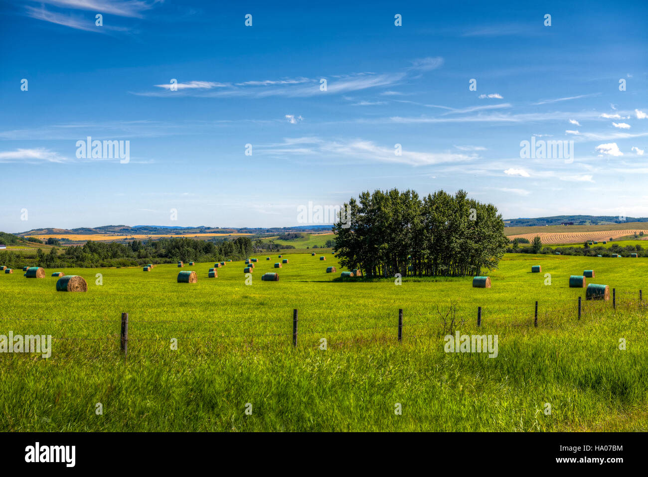 Farmland landscapes from the foothills of Alberta Canada in summer ...