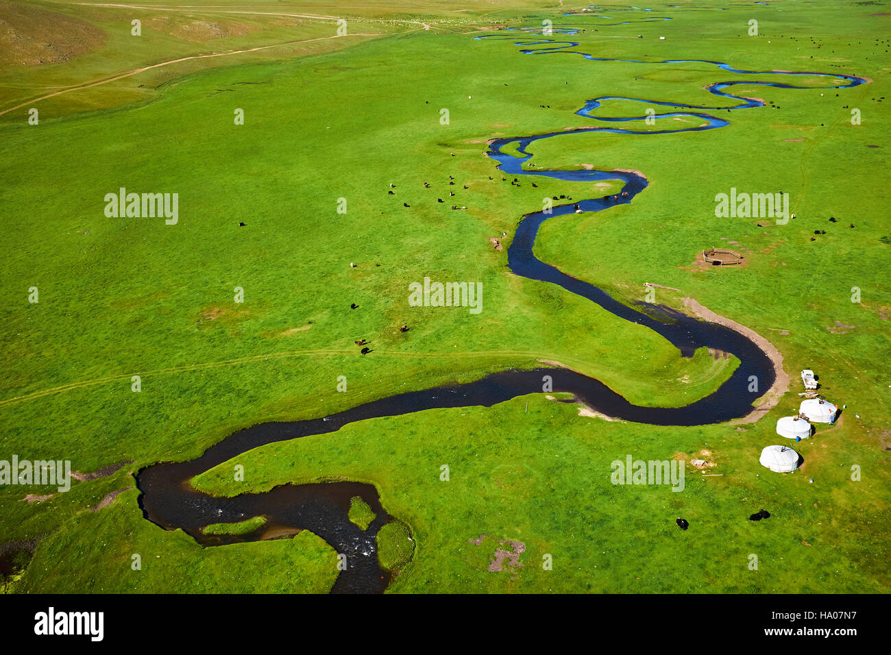 Mongolia, Arkhangai province, yurt nomad camp in the steppe Stock Photo ...