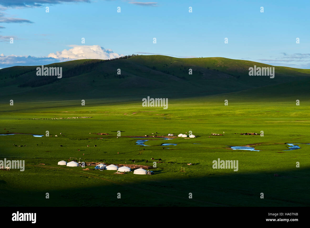Mongolia, Arkhangai province, yurt nomad camp in the steppe Stock Photo ...