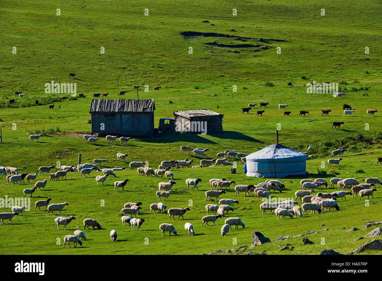 The orkhon valley hi-res stock photography and images - Alamy