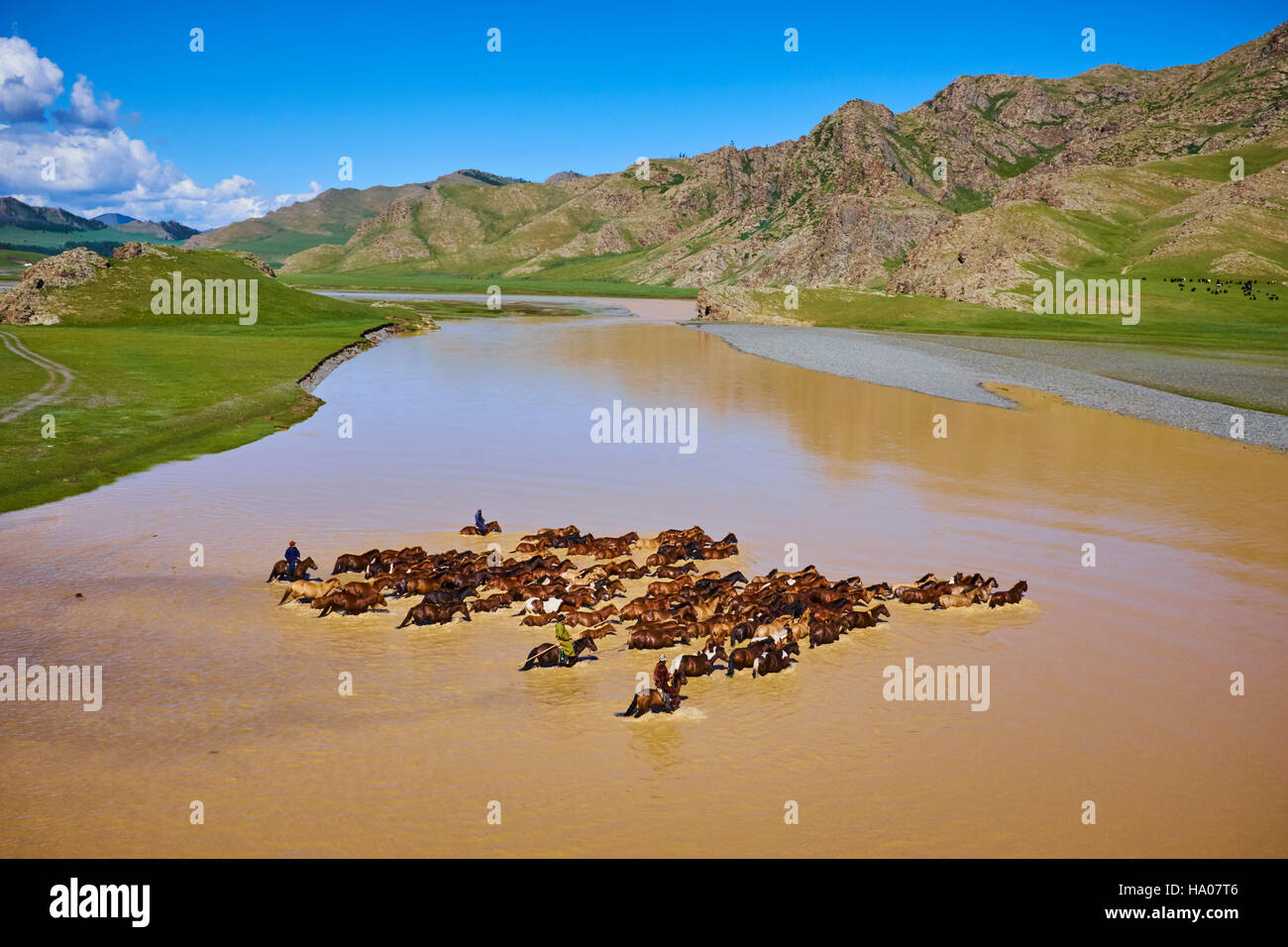 Mongolia, Ovorkhangai province, Orkhon valley, Orkhon river, Nomad camp ...