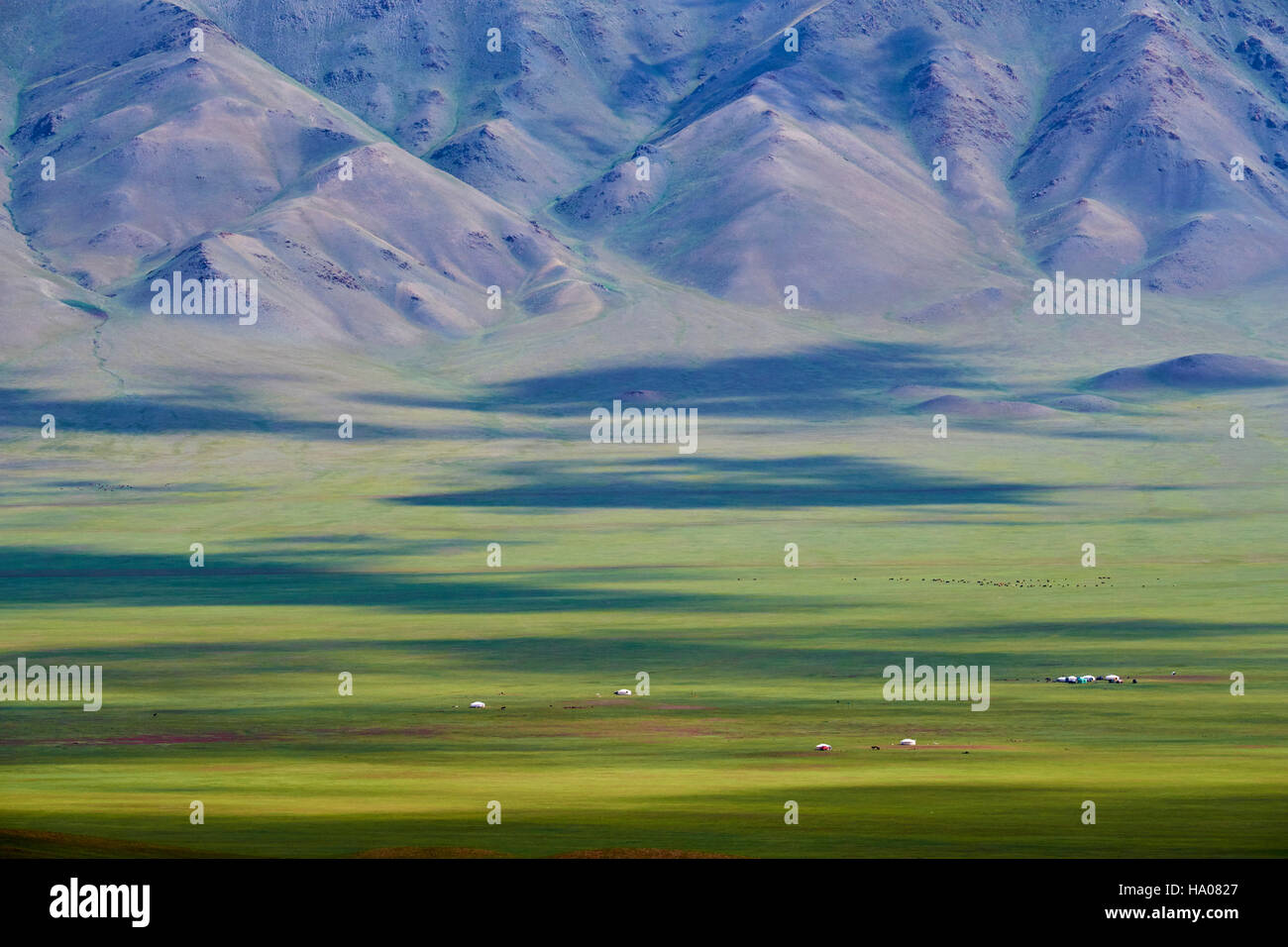 Mongolia, Uvs province, western Mongolia, nomad camp in the steppe ...