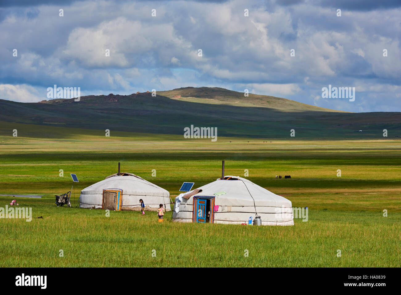 Mongolia, Uvs province, western Mongolia, nomad camp in the steppe ...