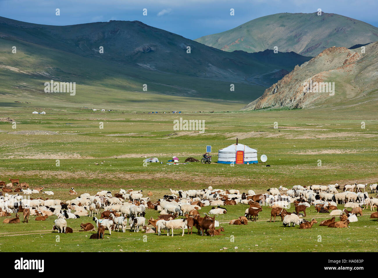 Mongolia, Bayan-Ulgii province, western Mongolia, nomad camp of Kazakh ...