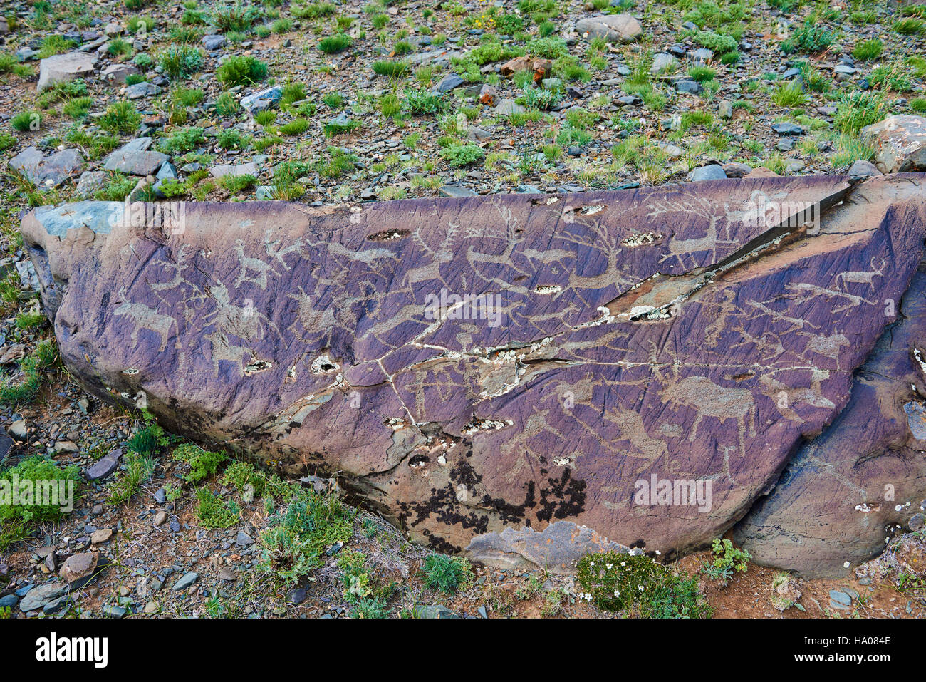 Mongolia, Bayan-Ulgii province, western Mongolia, National Parc of ...