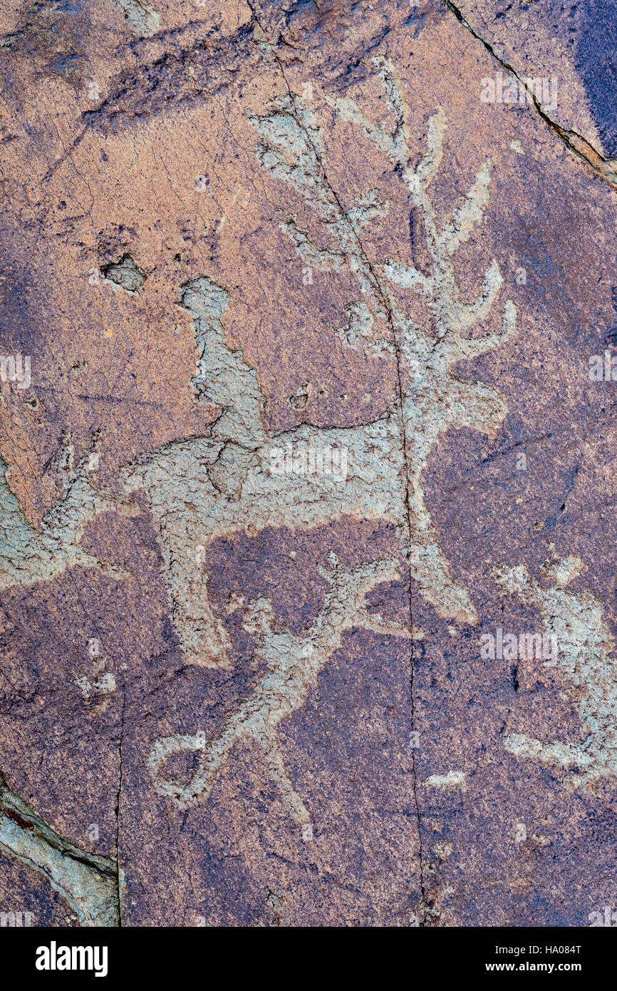 Mongolia, Bayan-Ulgii province, western Mongolia, National Parc of ...