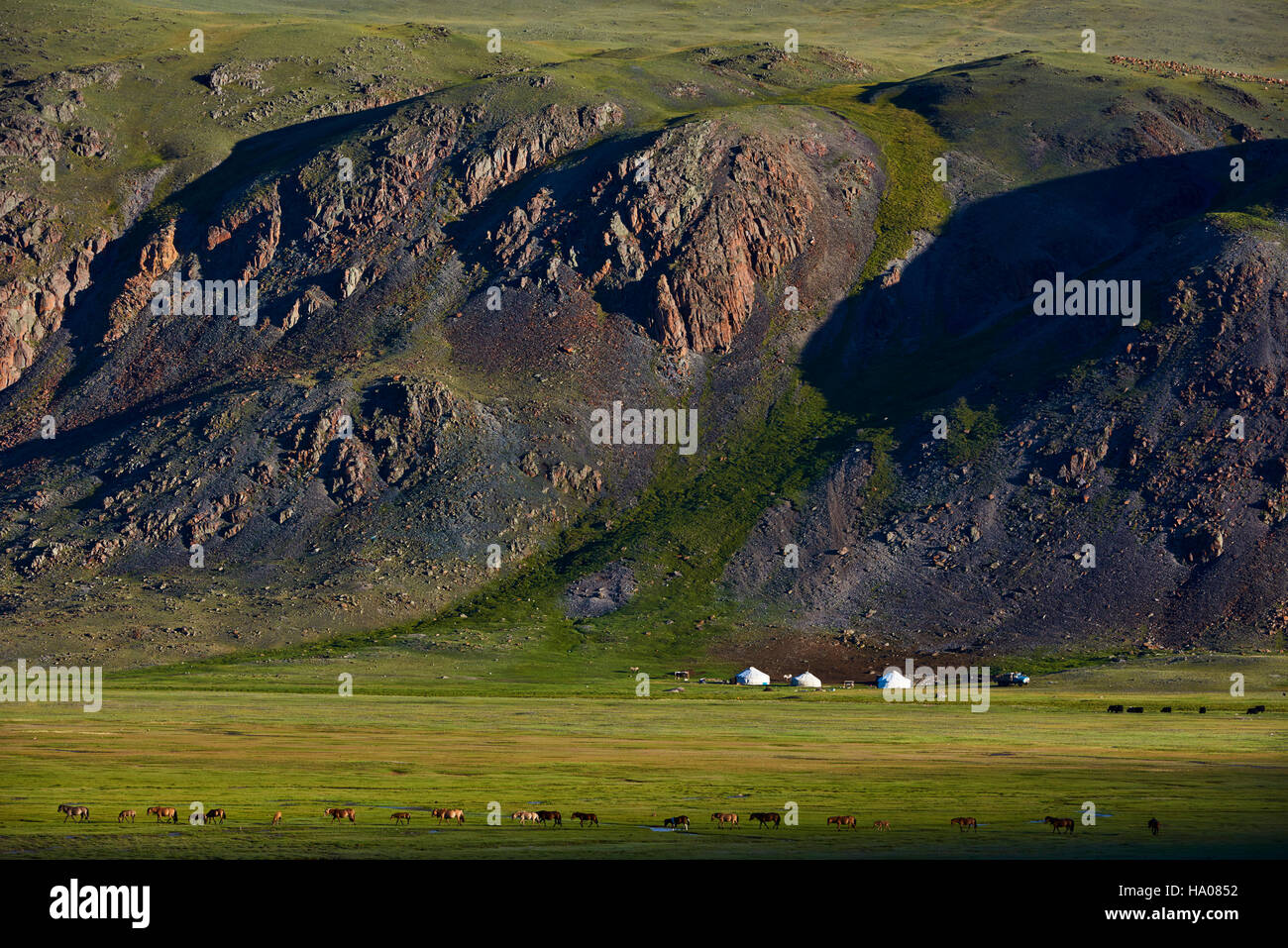 Mongolia, Bayan-Ulgii province, western Mongolia, nomad camp of Kazakh people in the steppe ...