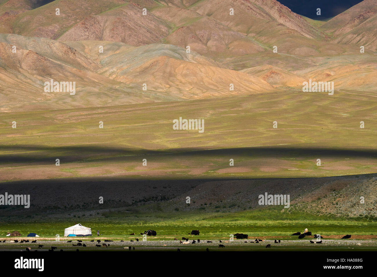 Mongolia, Bayan-Ulgii province, western Mongolia, the colored mountains ...