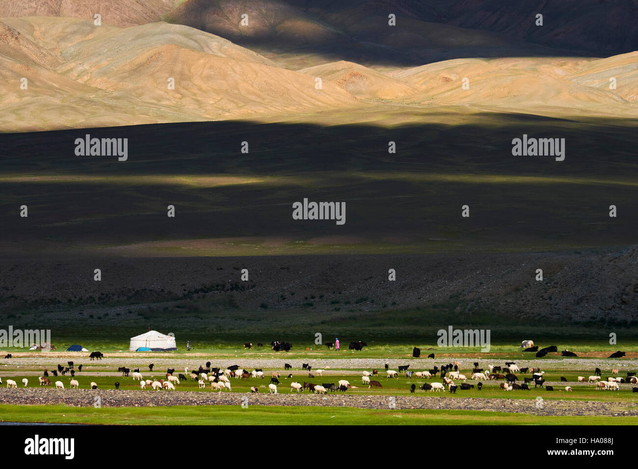Mongolia, Bayan-Ulgii province, western Mongolia, the colored mountains ...