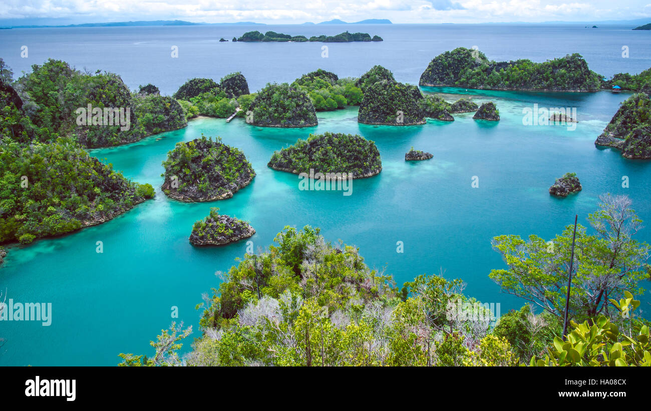 Painemo Island, Blue Lagoon, Raja Ampat, West Papua, Indonesia Stock ...
