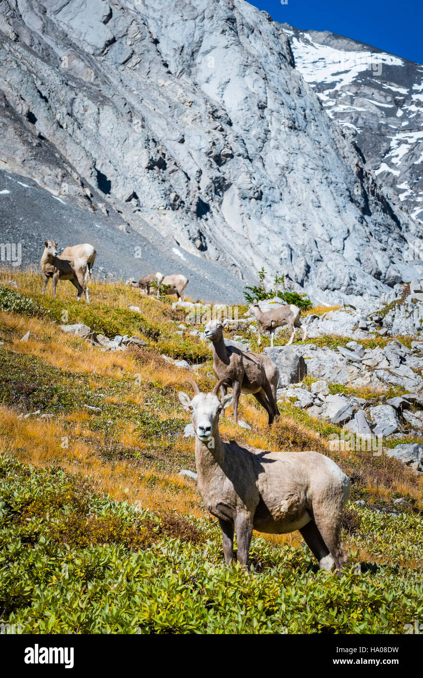Cirque horn hi-res stock photography and images - Alamy