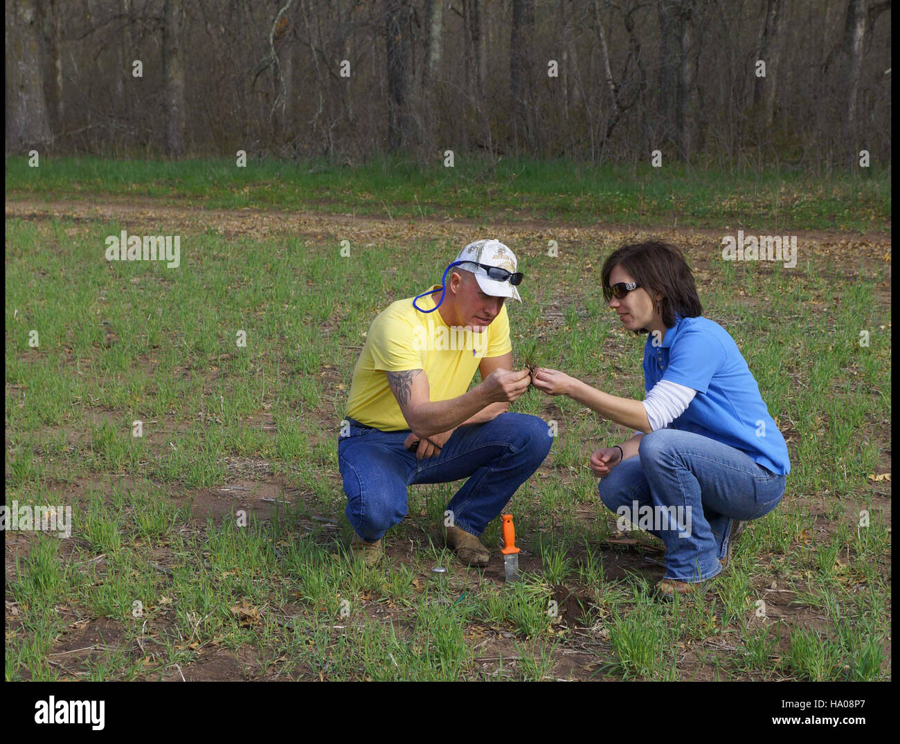 Keith2 field pics showcase various agricultural activities and land ...
