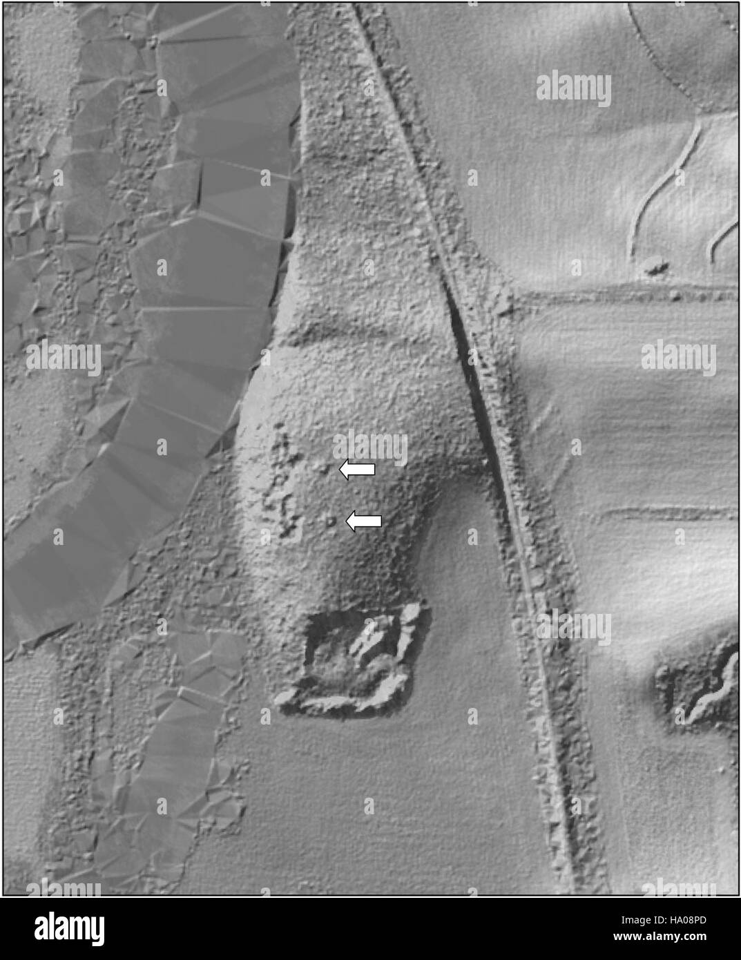 Duck biodiversity Black and White Stock Photos & Images - Alamy