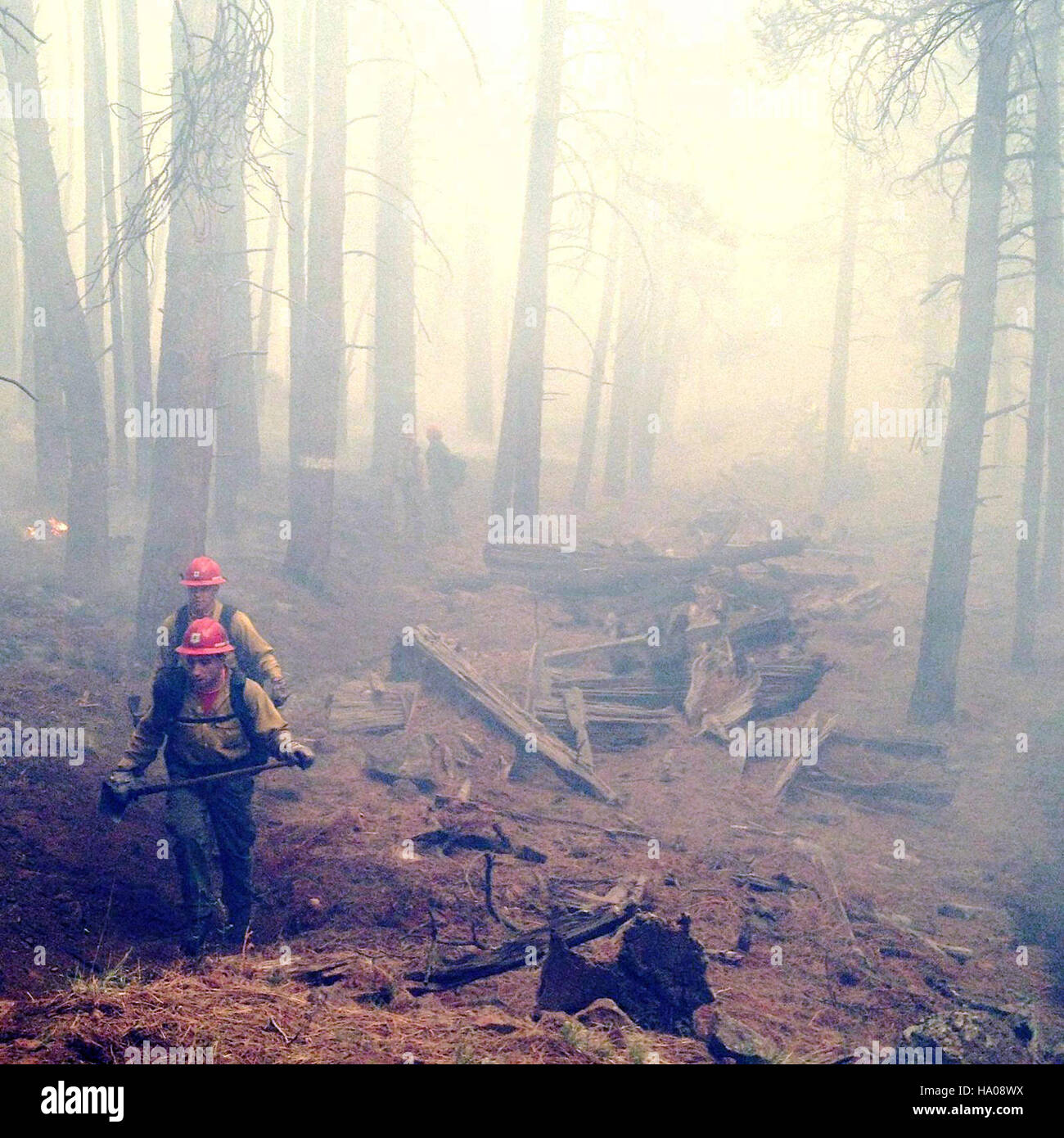 A fire slide depicting firefighters battling wildfires, showcasing the ...