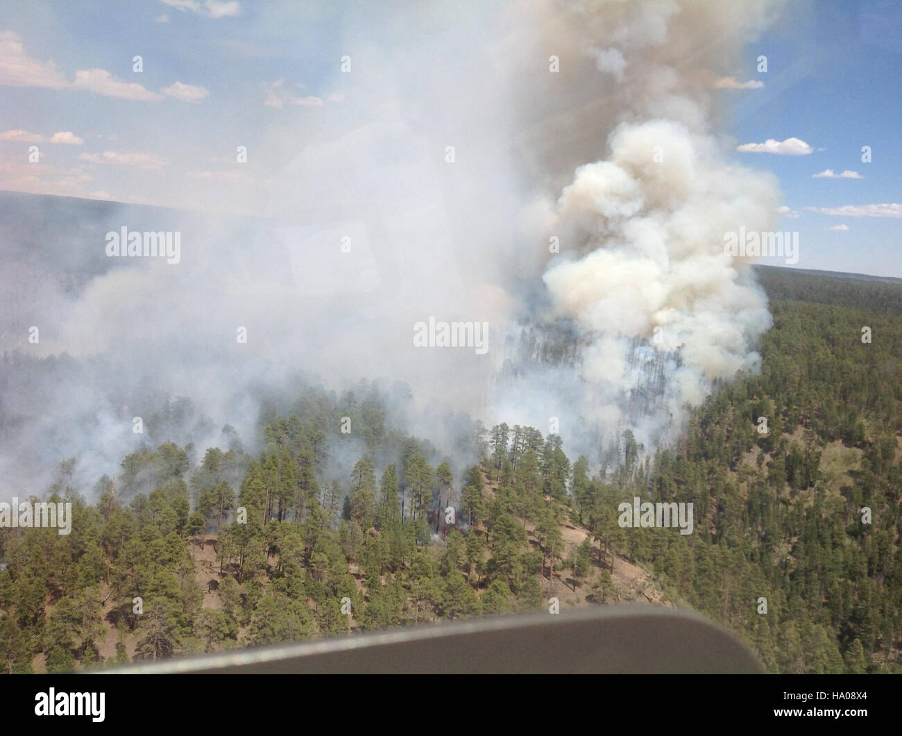 A wildfire management effort in a national park, highlighting the ...