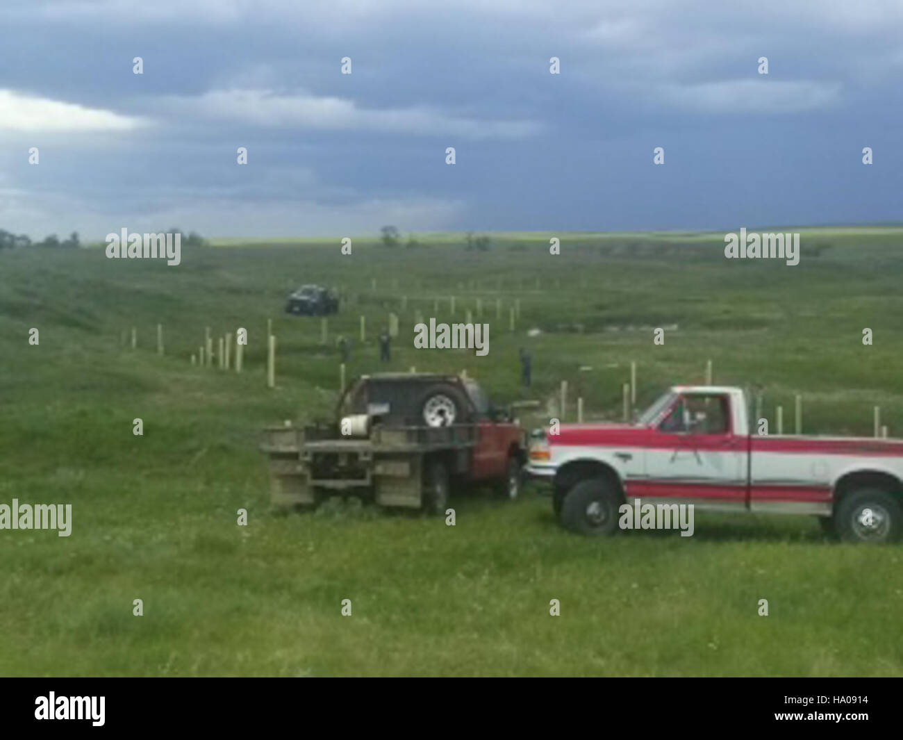 The 30th anniversary of the Conservation Reserve Program (CRP) marks ...