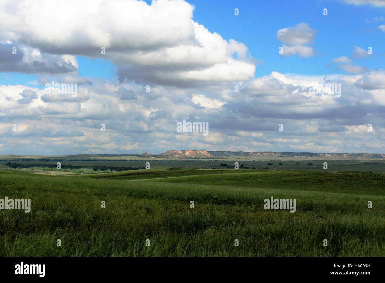 Thunder basin hi-res stock photography and images - Alamy