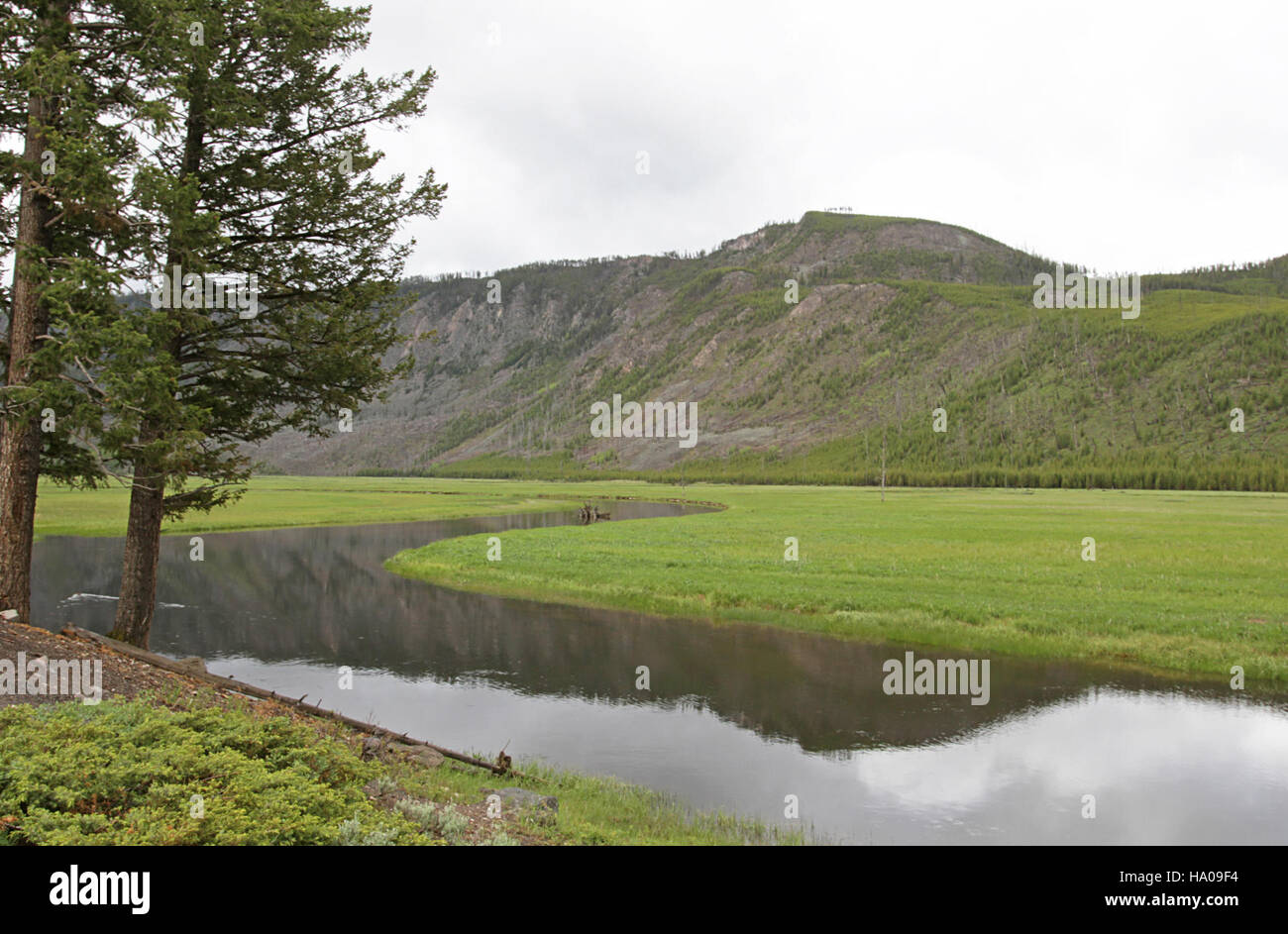The Madison River in Yellowstone National Park is renowned for its ...