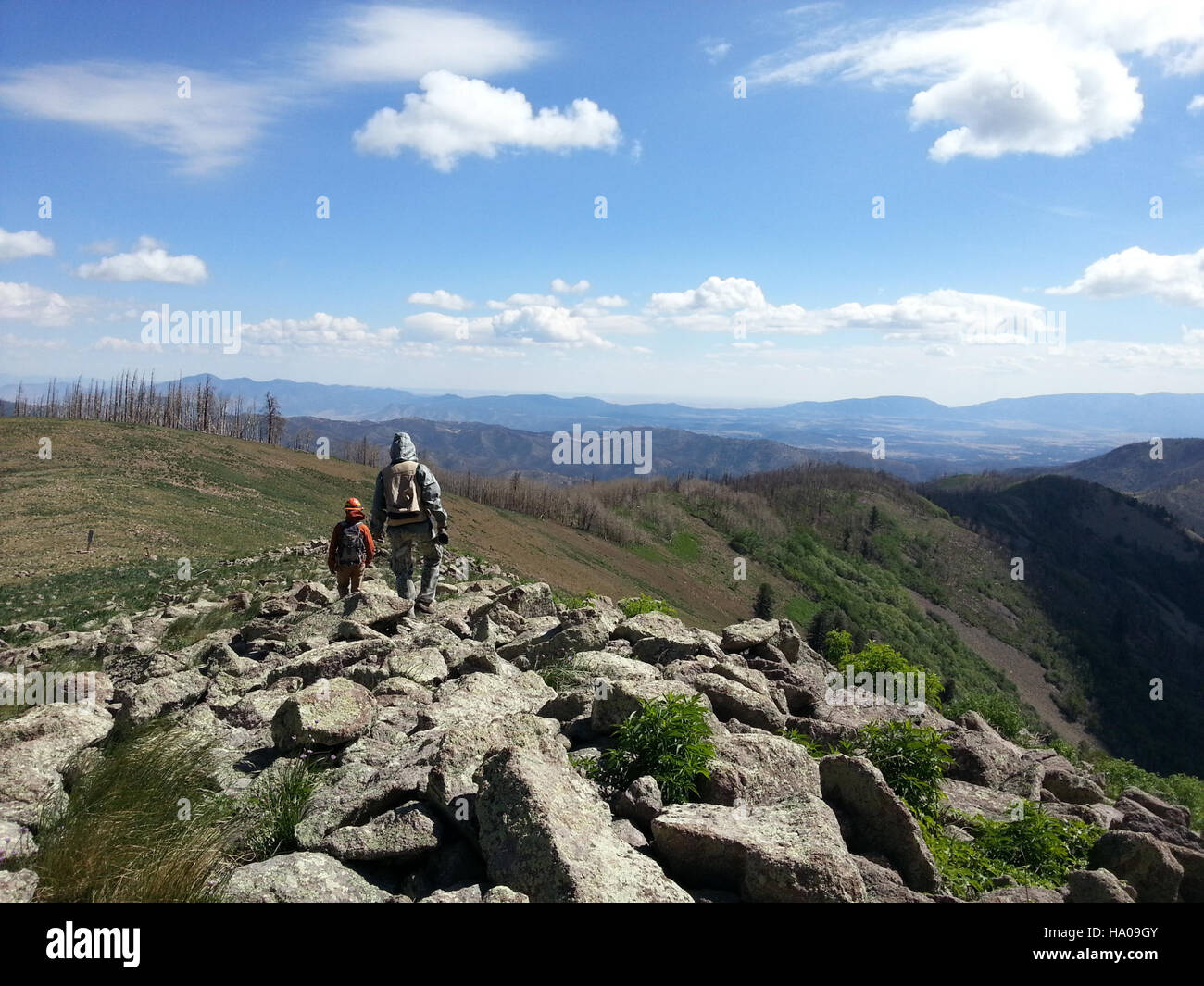 Lincoln National Forest is a protected area that serves as an important ...