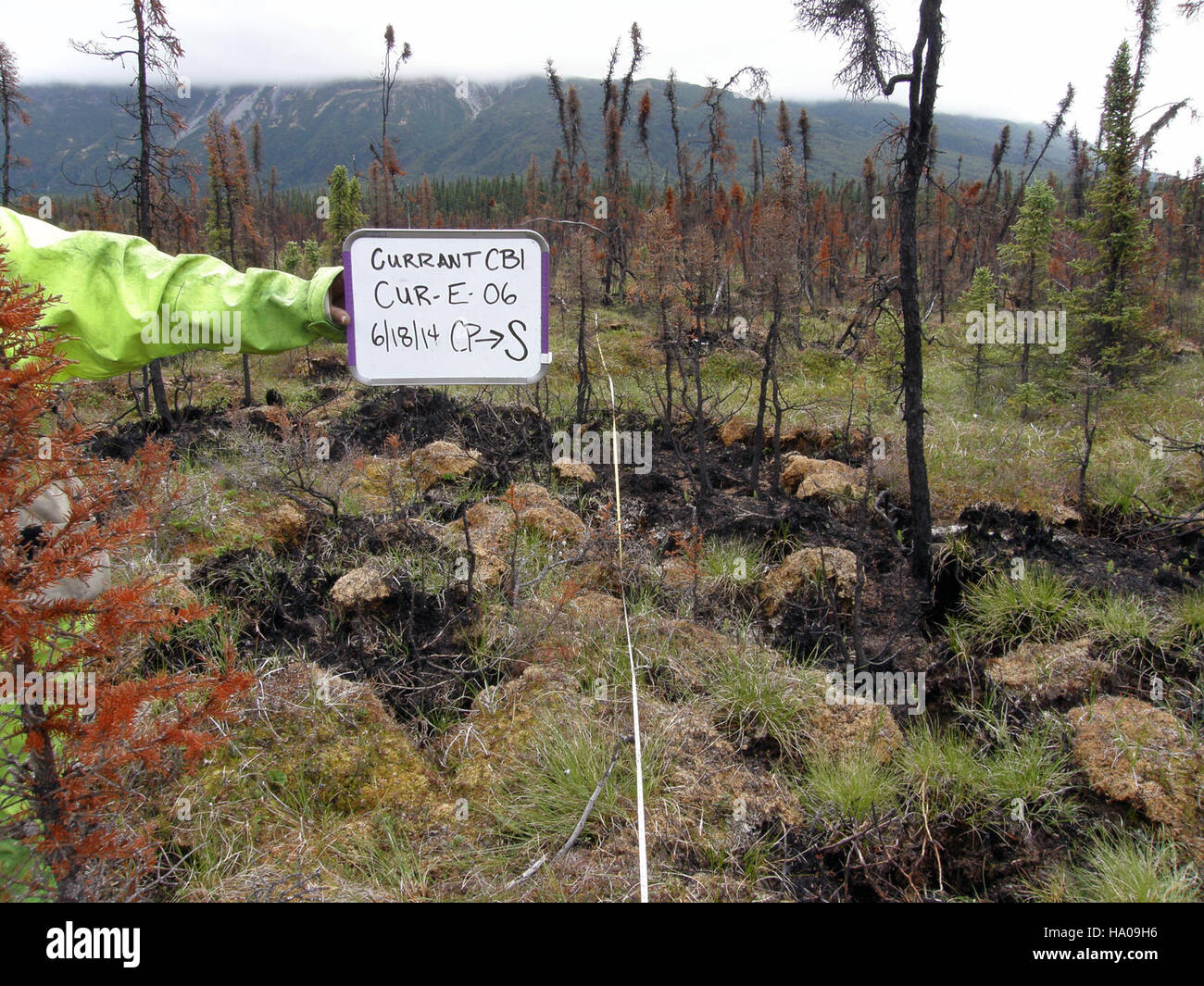 The Patchy Burn Area in Alaska's national parks demonstrates the role ...