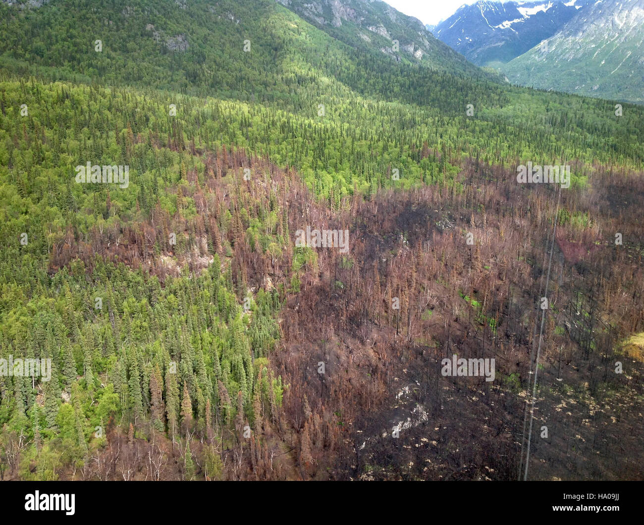 This aerial view captures the expansive landscapes of a national park ...