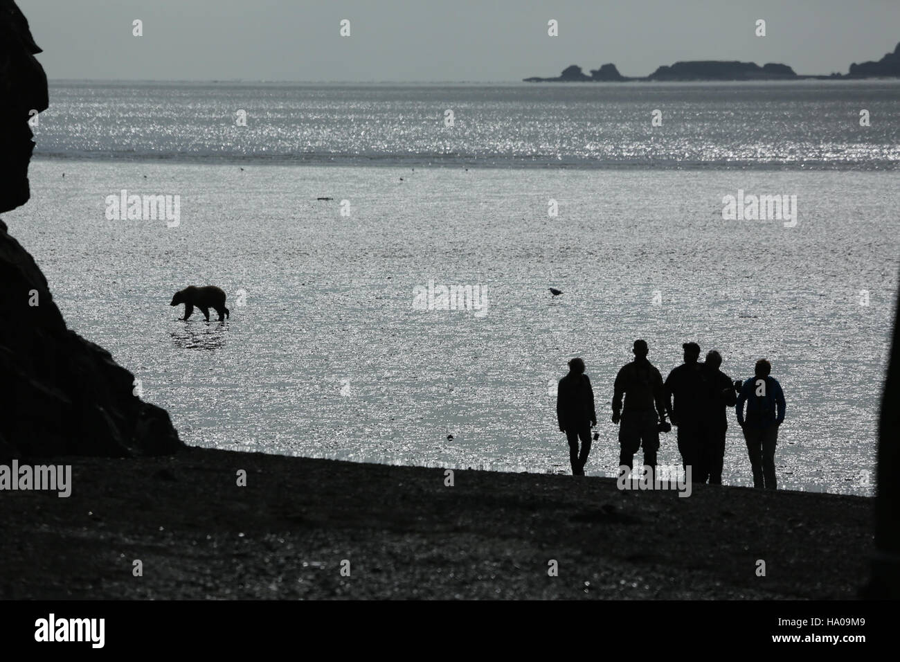 Chinitna bay hi-res stock photography and images - Alamy