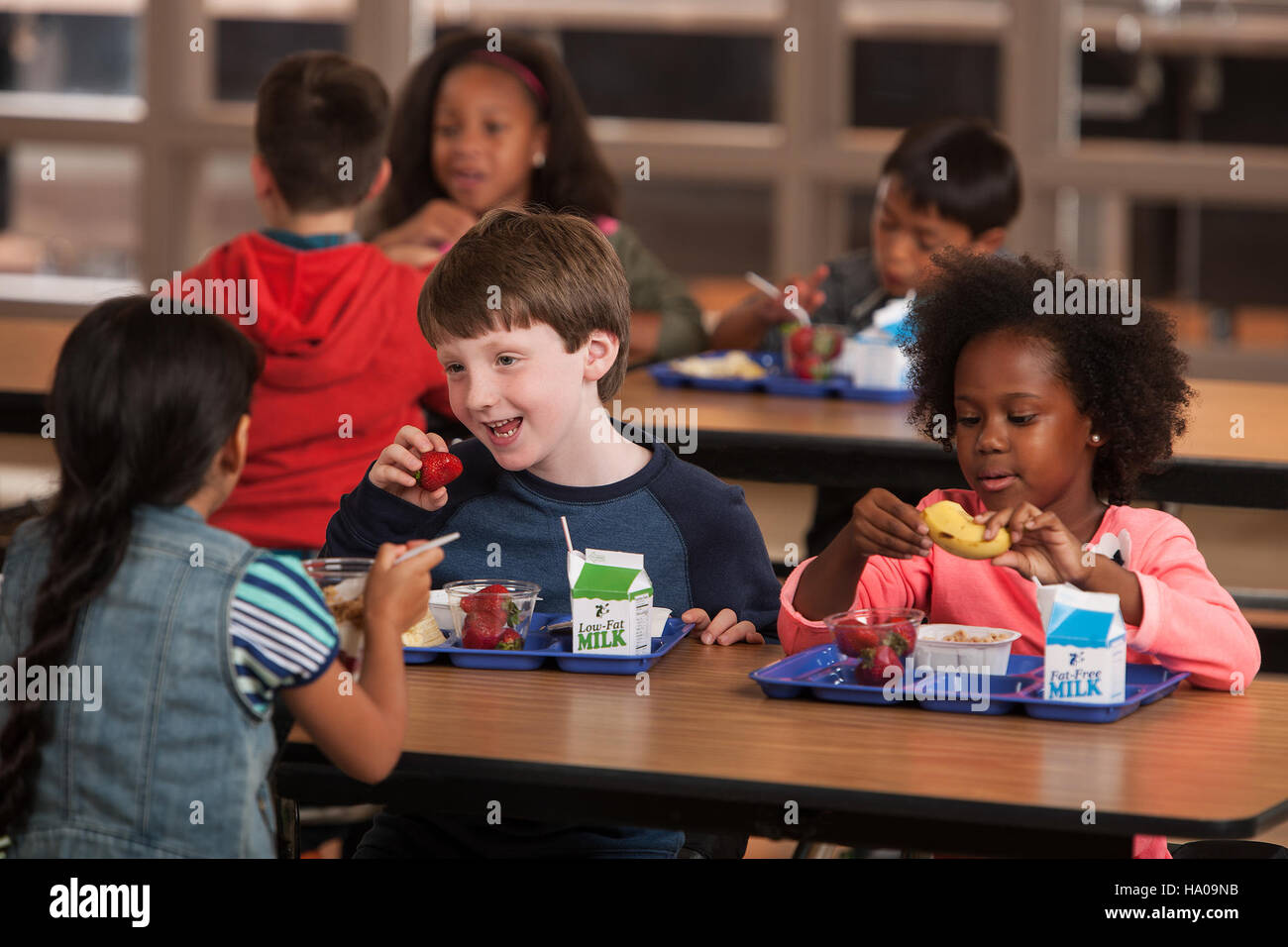 Food balanced lunch features hi-res stock photography and images - Alamy
