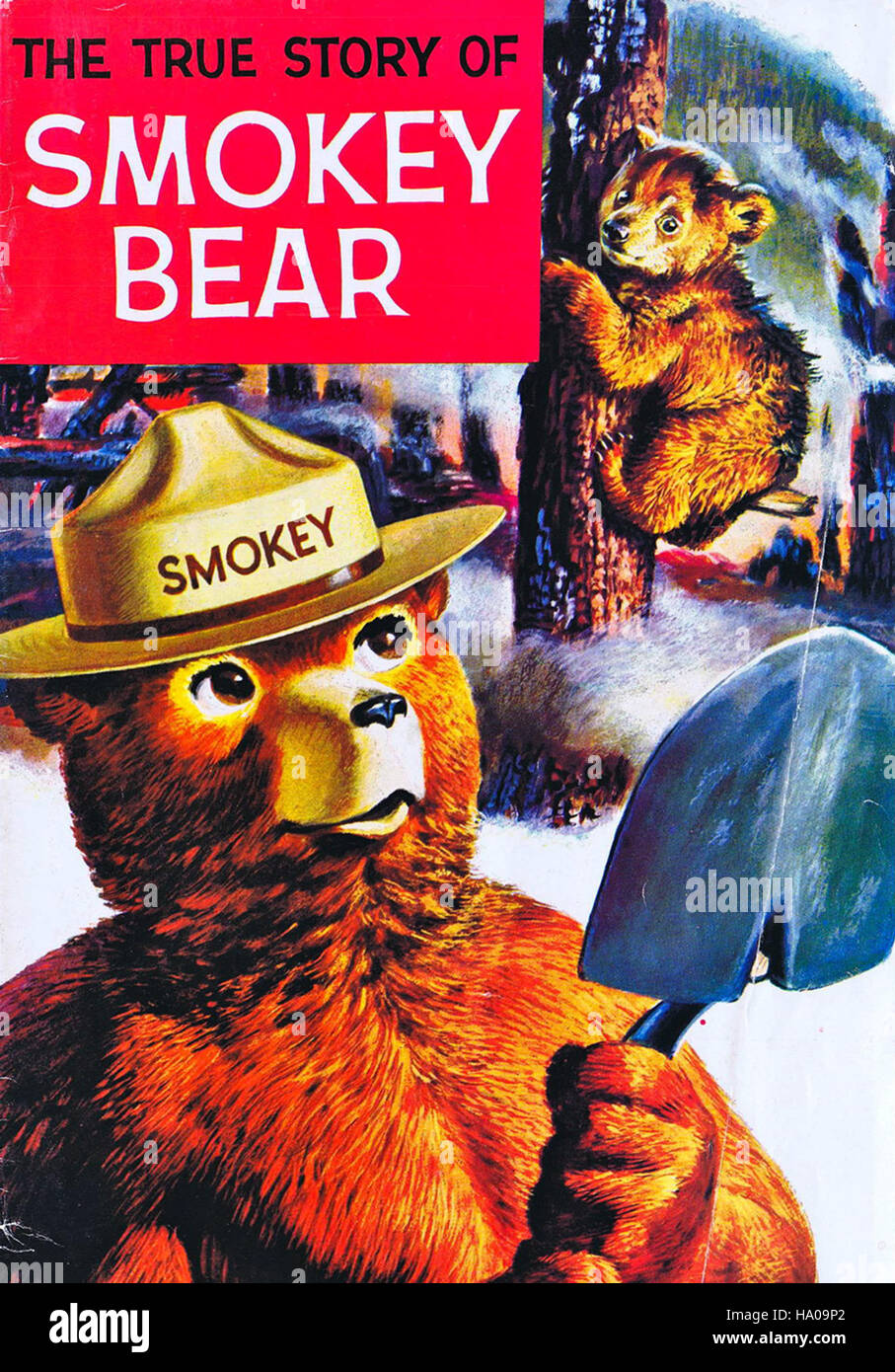 The true story of Smokey Bear, the iconic mascot of wildfire prevention ...
