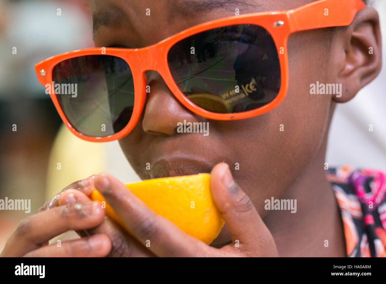 Hamilton School in Baltimore, MD, collaborates with the USDA to address ...